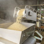 Miso Production Process | Miyajima Shoyu宮島醤油宮島醤油