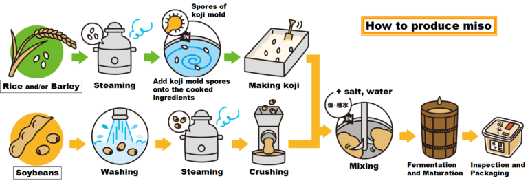 Miso Production Process | Miyajima Shoyu宮島醤油宮島醤油
