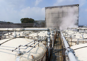 Soy Sauce Production Process | Miyajima Shoyu宮島醤油宮島醤油